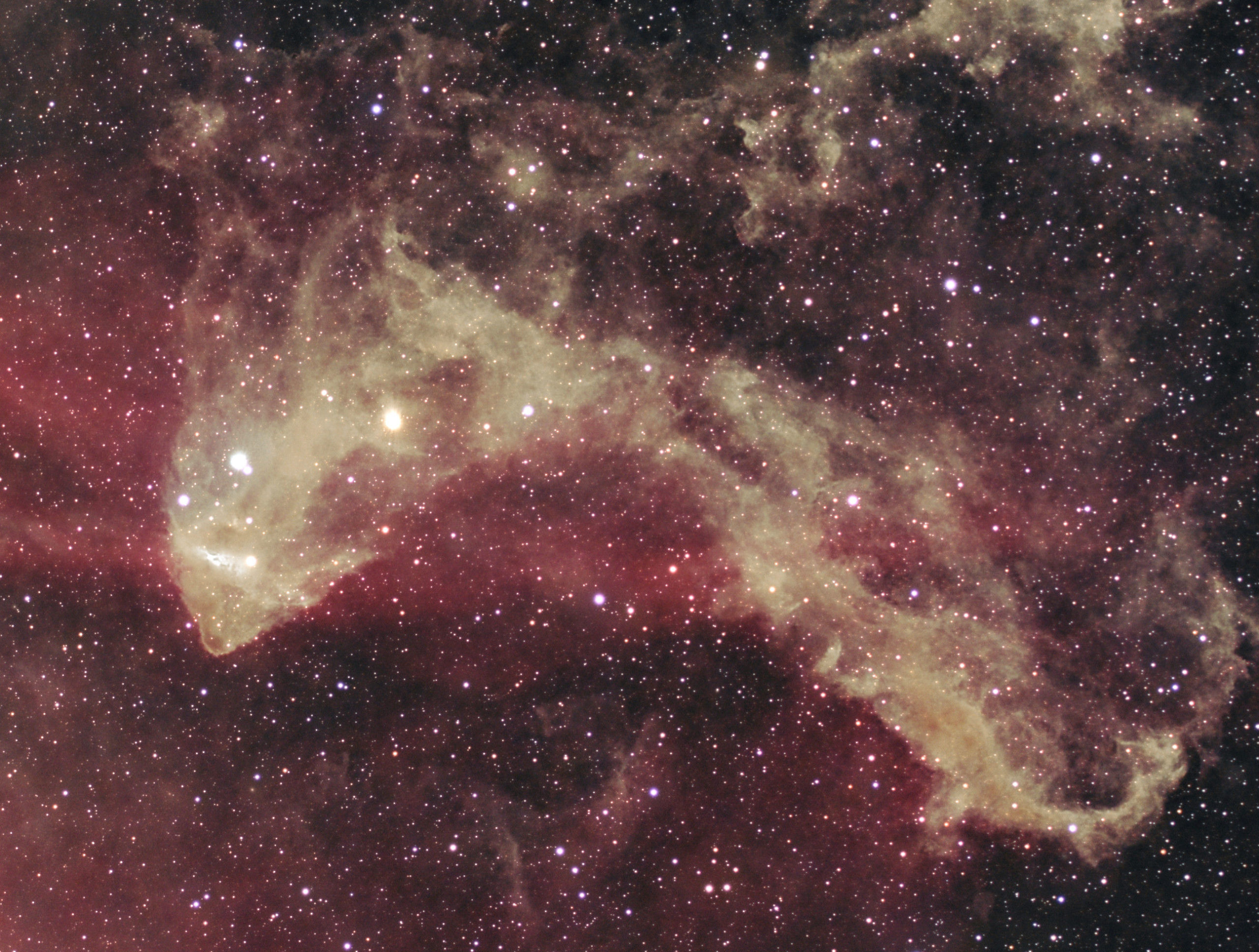 PORTFOLIO | Manuel's Astrophotography