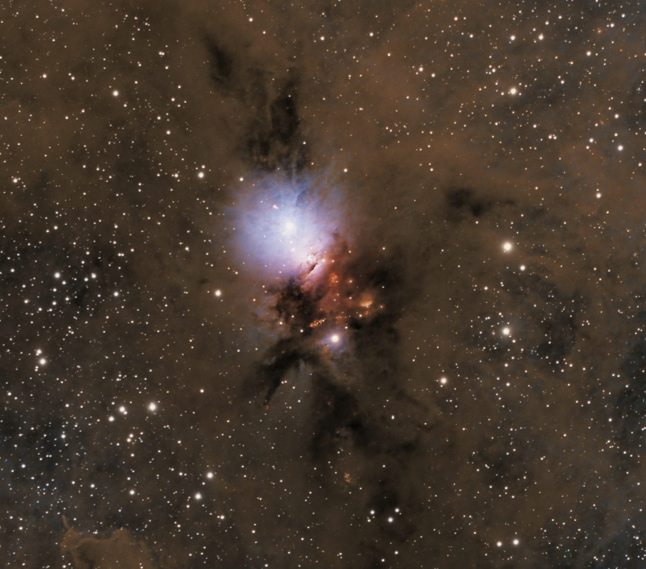 NGC 1333 | Manuel's Astrophotography